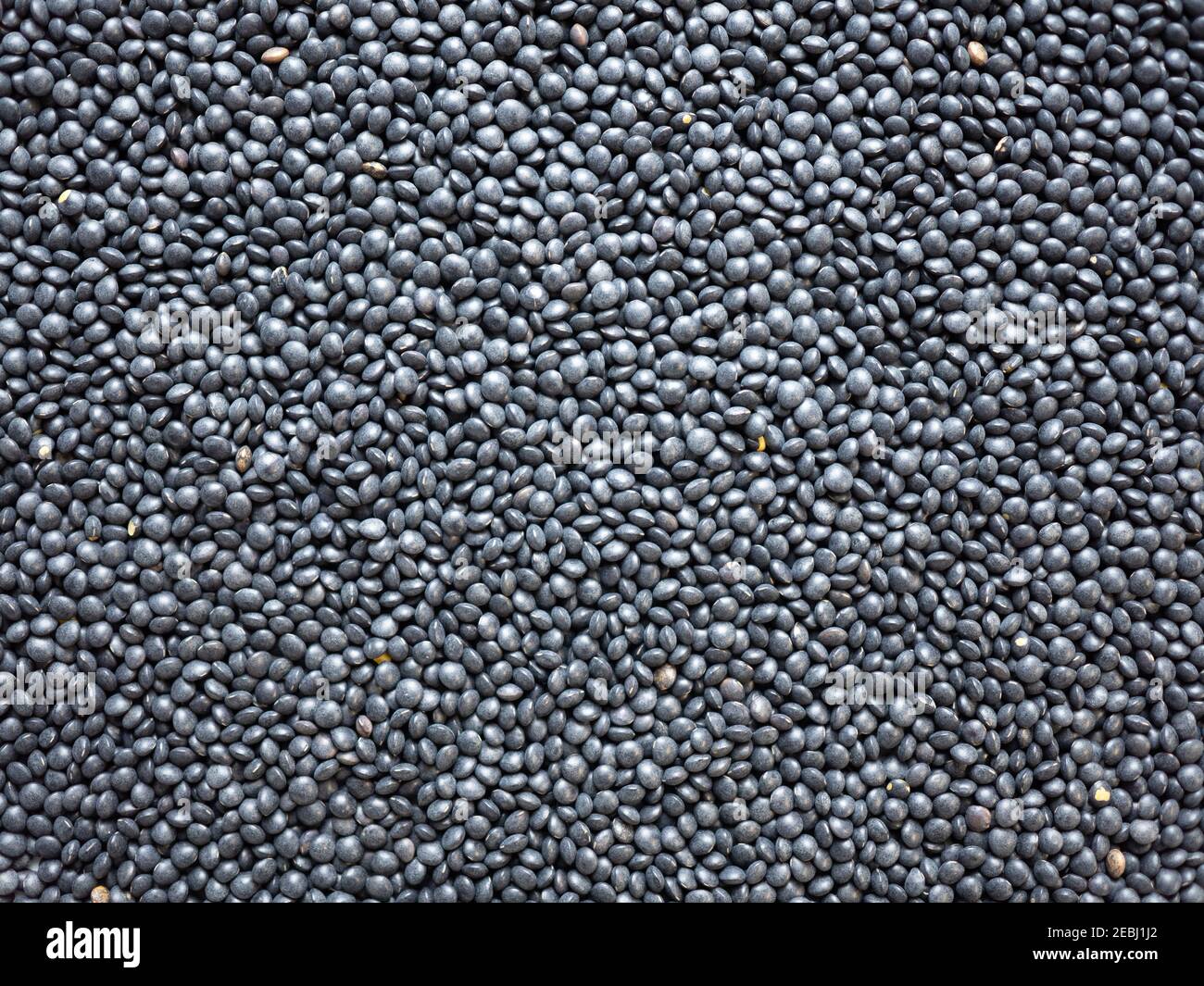 Dried, legume, leguminous plants, structure, lenses, background. Flat ...