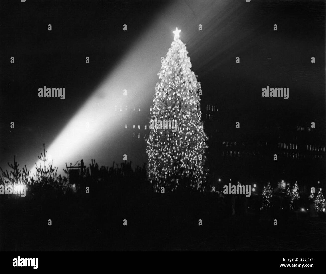 Christmas tree lighting ellipse Black and White Stock Photos & Images ...
