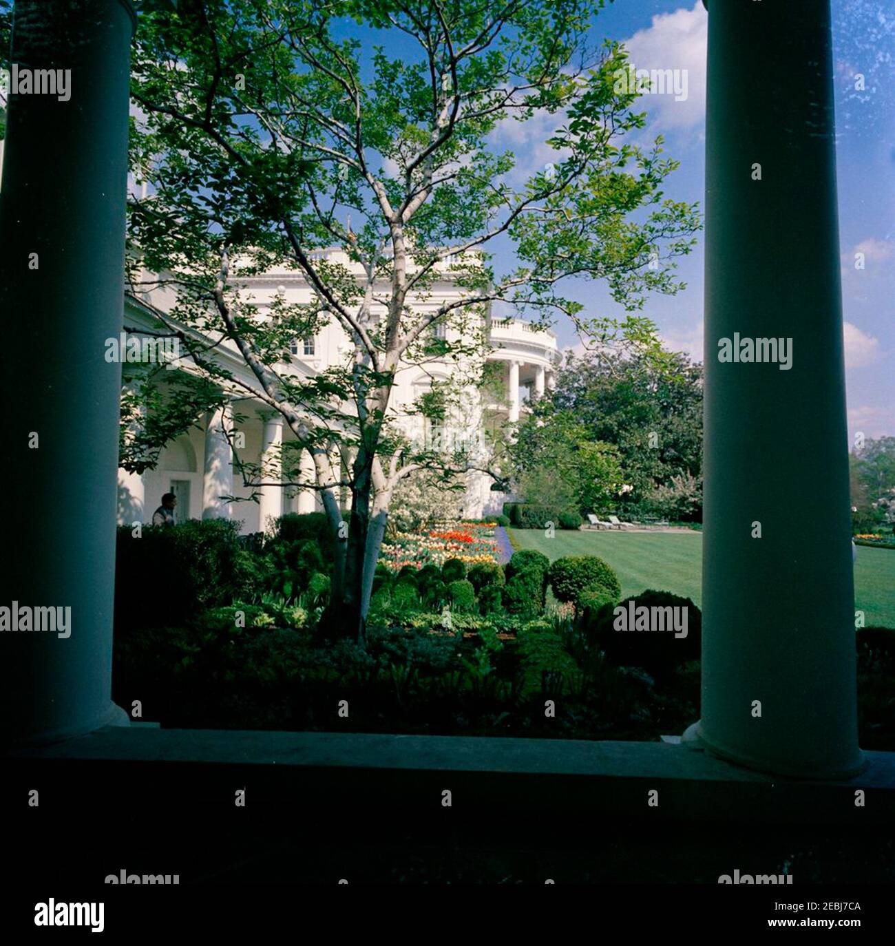 Rose Garden, views. View of the Rose Garden along the West Wing ...