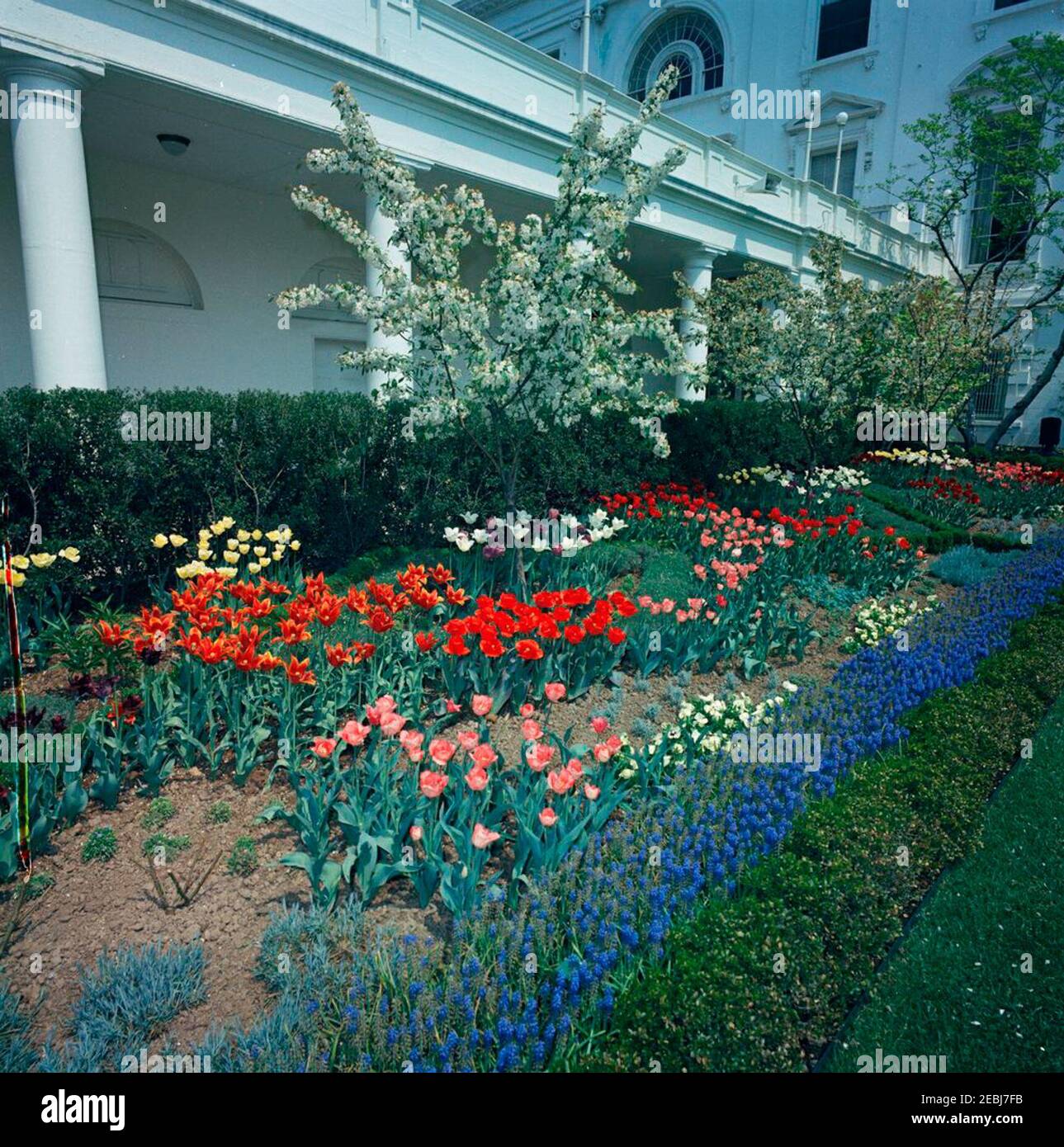 Rose Garden, views. Flowers in the Rose Garden along the West Wing ...