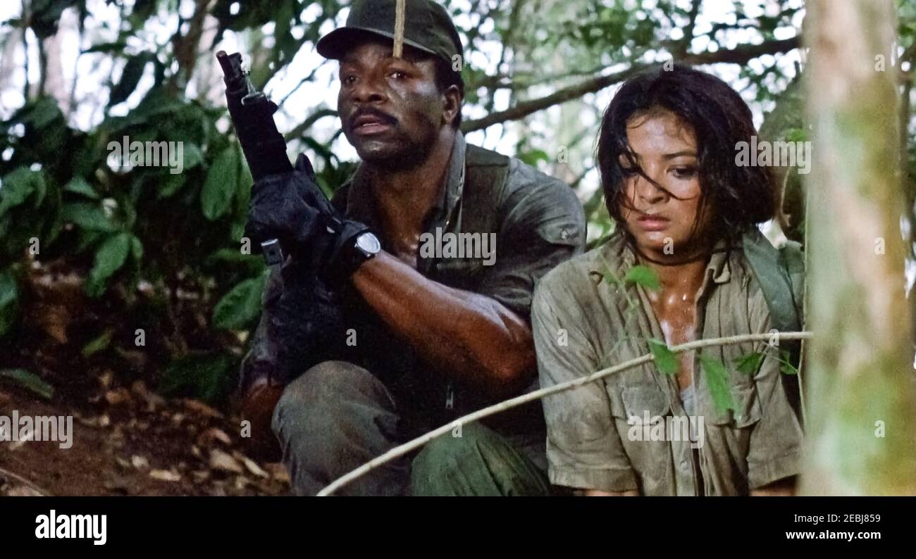 11221 High Resolution Stock Photography and Images - Alamy