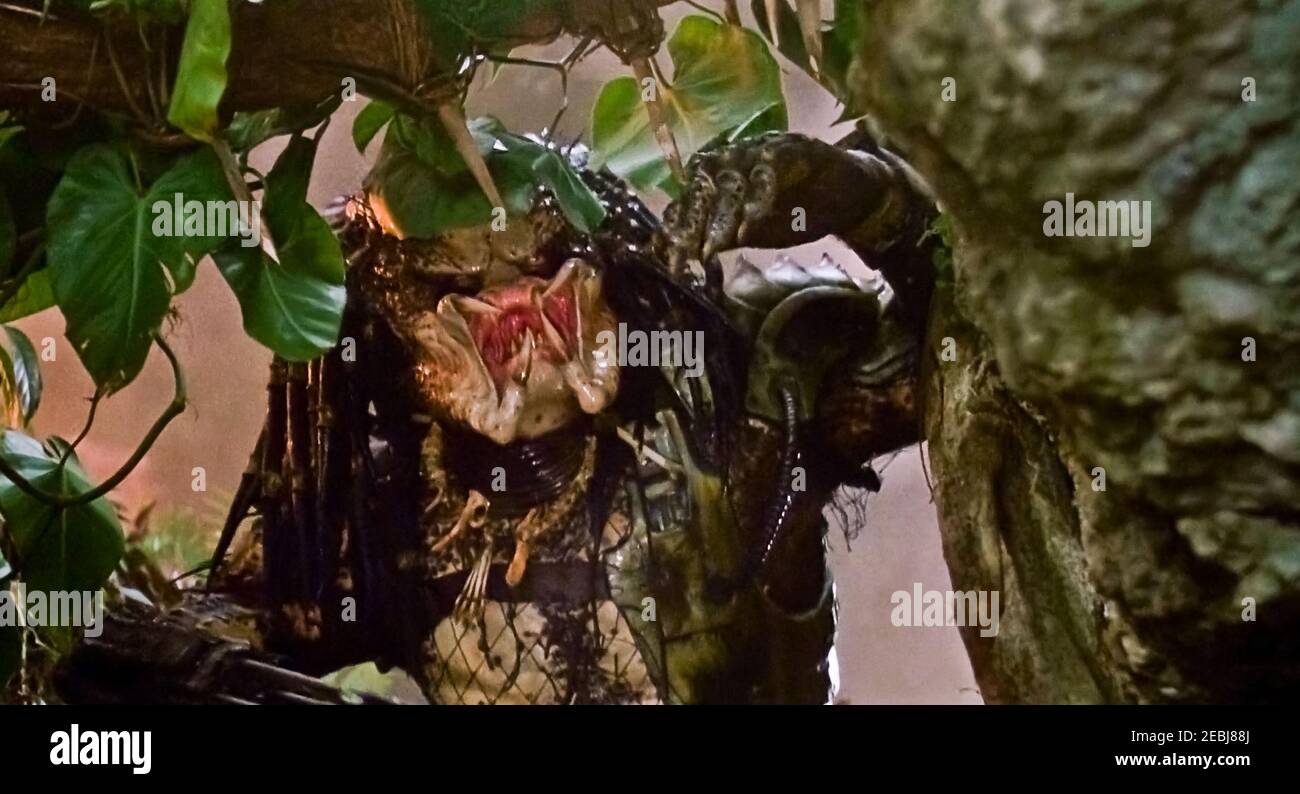 USA. Kevin Peter Hall as Predator in a scene from the (C)Twentieth Century Fox film : Predator ...