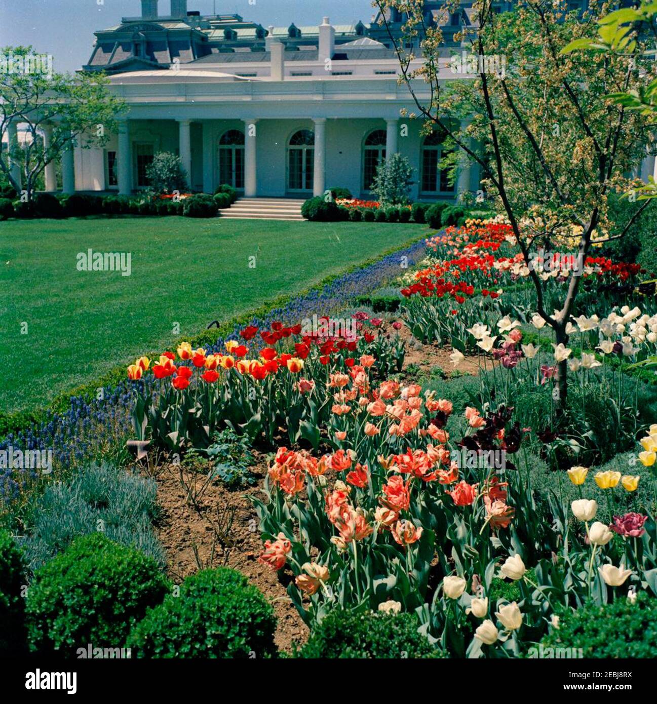 Flowers in White House gardens (close-ups). View of flowers in the Rose ...