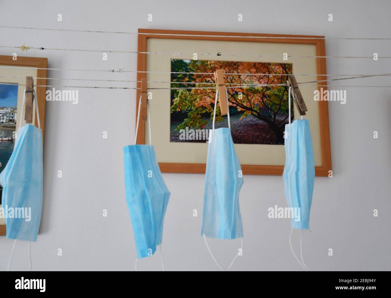 Masks , protection against the Covid-19 virus, hanging up to dry after ...