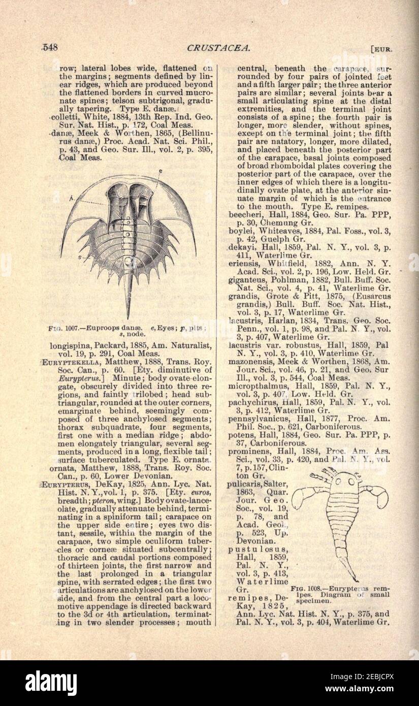 North American geology and palæontology for the use of amateurs, students, and scientists (Page ...
