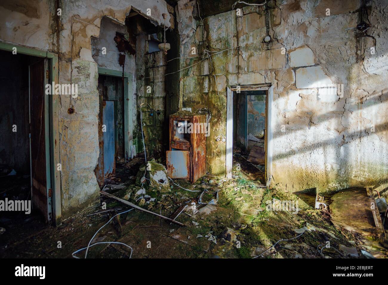 Old dark overgrown interior of abandoned building Stock Photo - Alamy