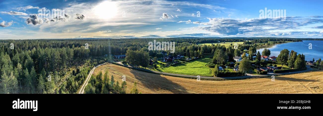 Breathtaking Aerial Panorama on golden ripe rye field, sunny summer ...