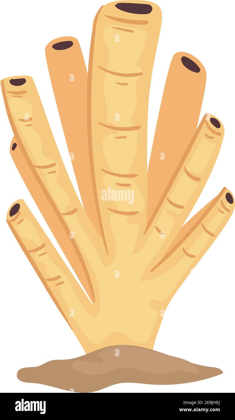 sea scourer life ocean icon Stock Vector Image & Art - Alamy