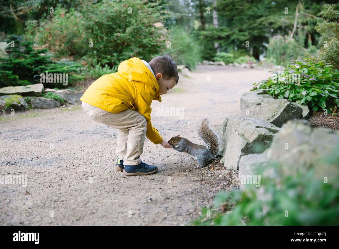 Boy with squirrel hi-res stock photography and images - Alamy