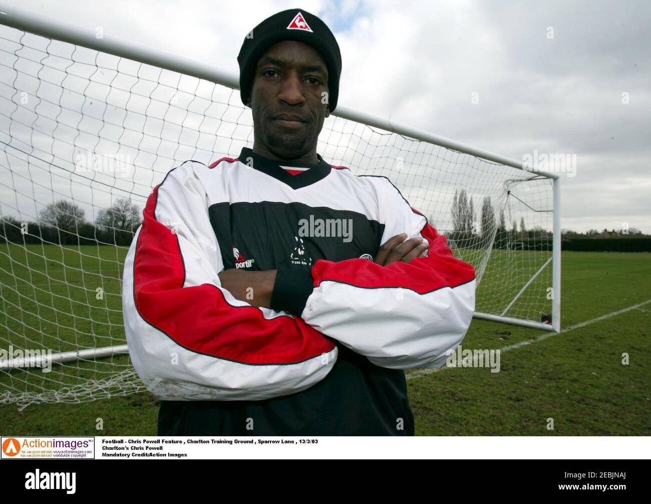 Ground sparrow hi-res stock photography and images - Alamy