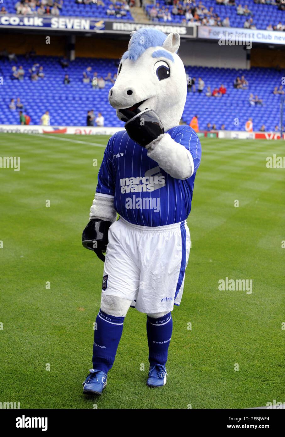 Ipswich town mascot hi-res stock photography and images - Alamy