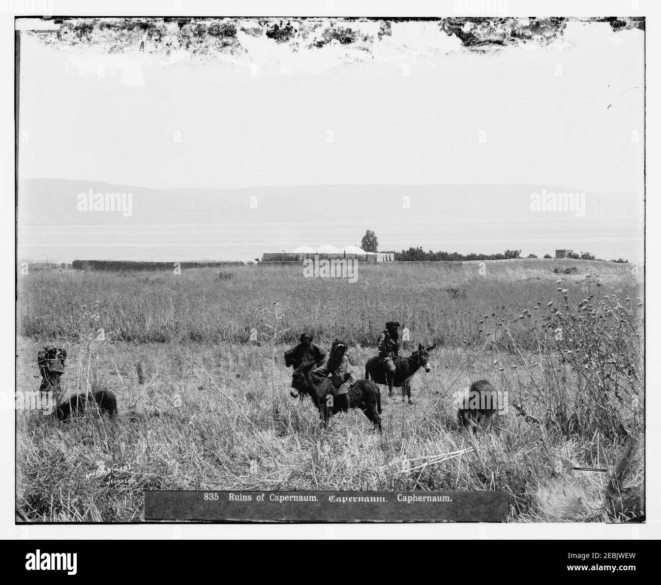 Northern views. Capernaum (Tell Hum Stock Photo - Alamy