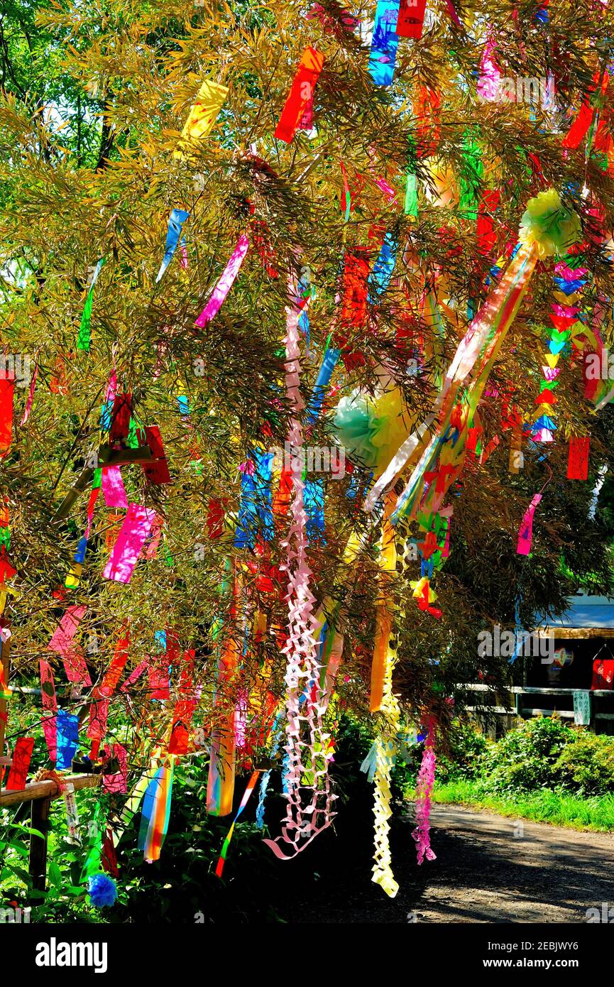 Tanabata Festival High Resolution Stock Photography and Images - Alamy