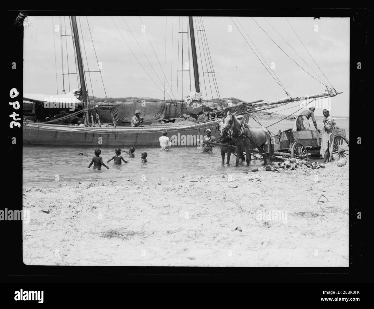 Tantoura hi-res stock photography and images - Alamy