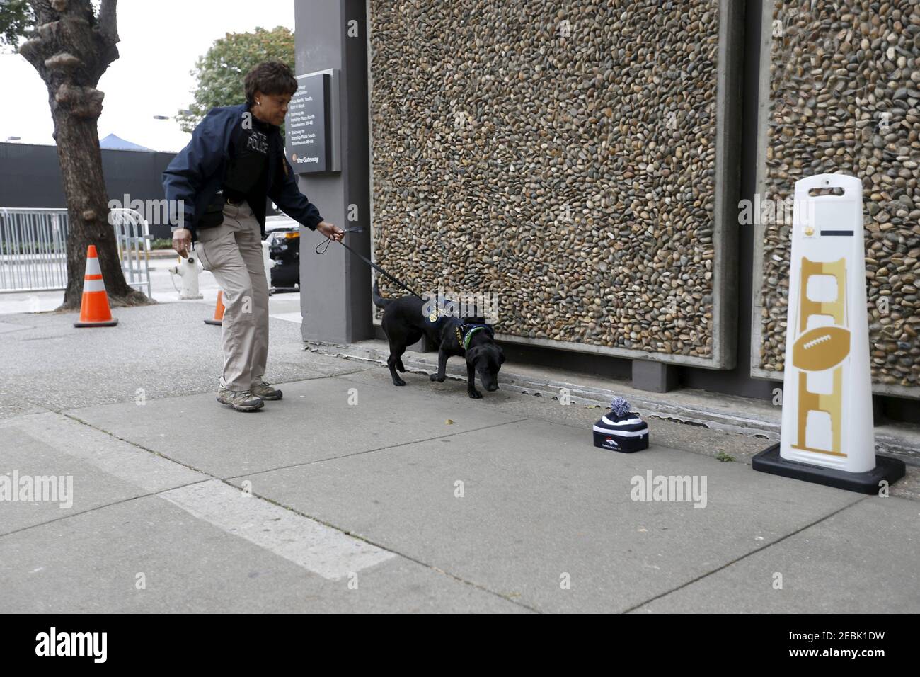 Atf dog hi-res stock photography and images - Alamy