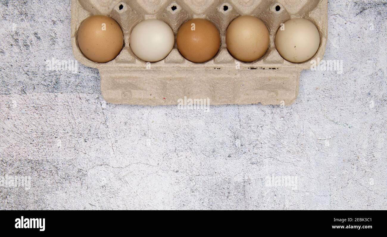 Cardboard tray for raw eggs top view Stock Photo - Alamy