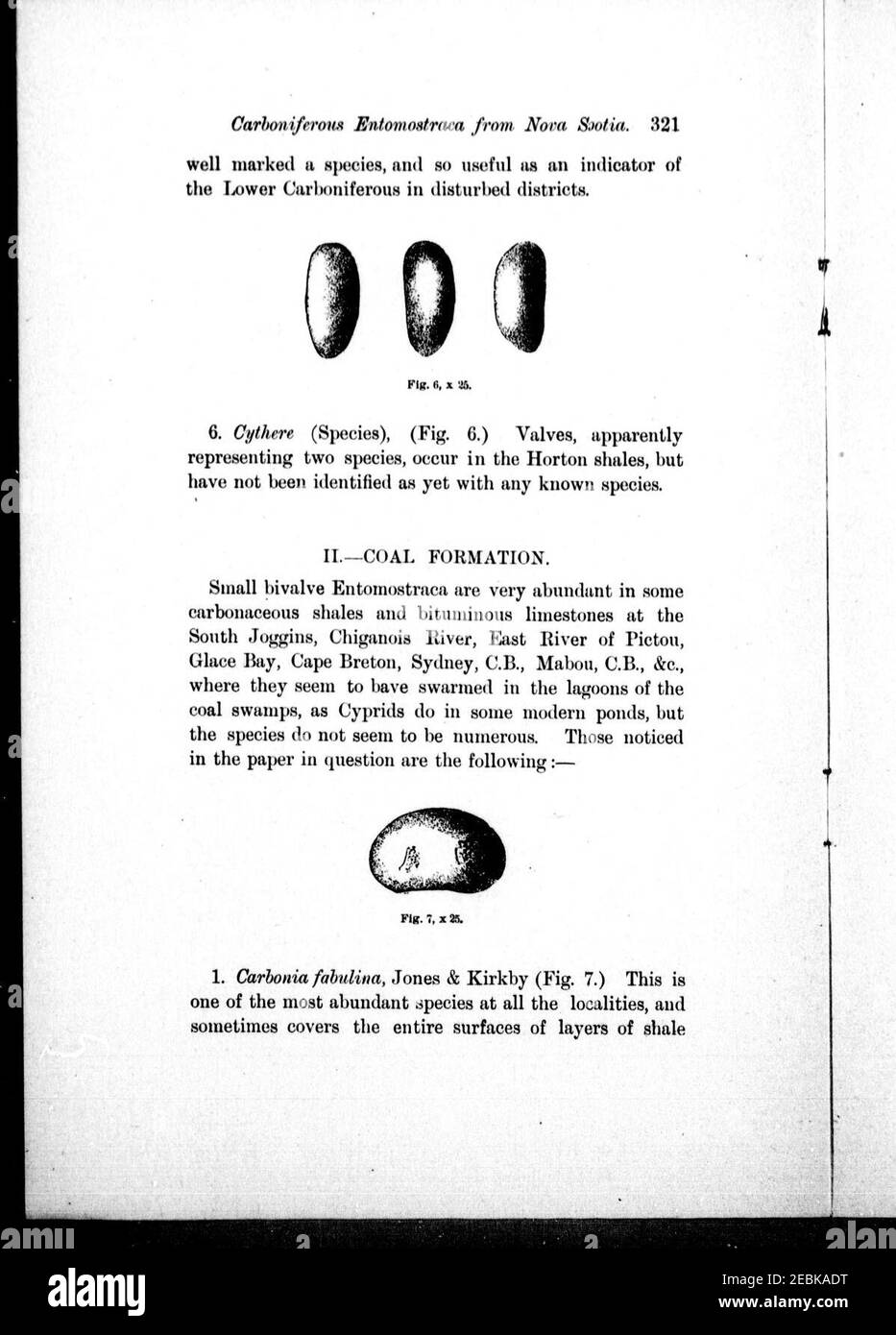 Redpath museum Black and White Stock Photos & Images - Alamy