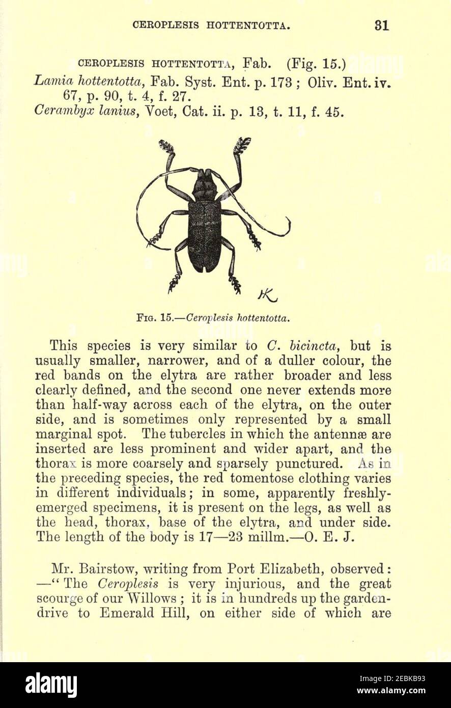 Notes and descriptions of a few injurious farm and fruit insects of ...