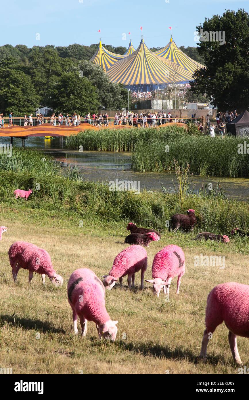 General views, including the famous coloured sheep, at the 10th edition ...