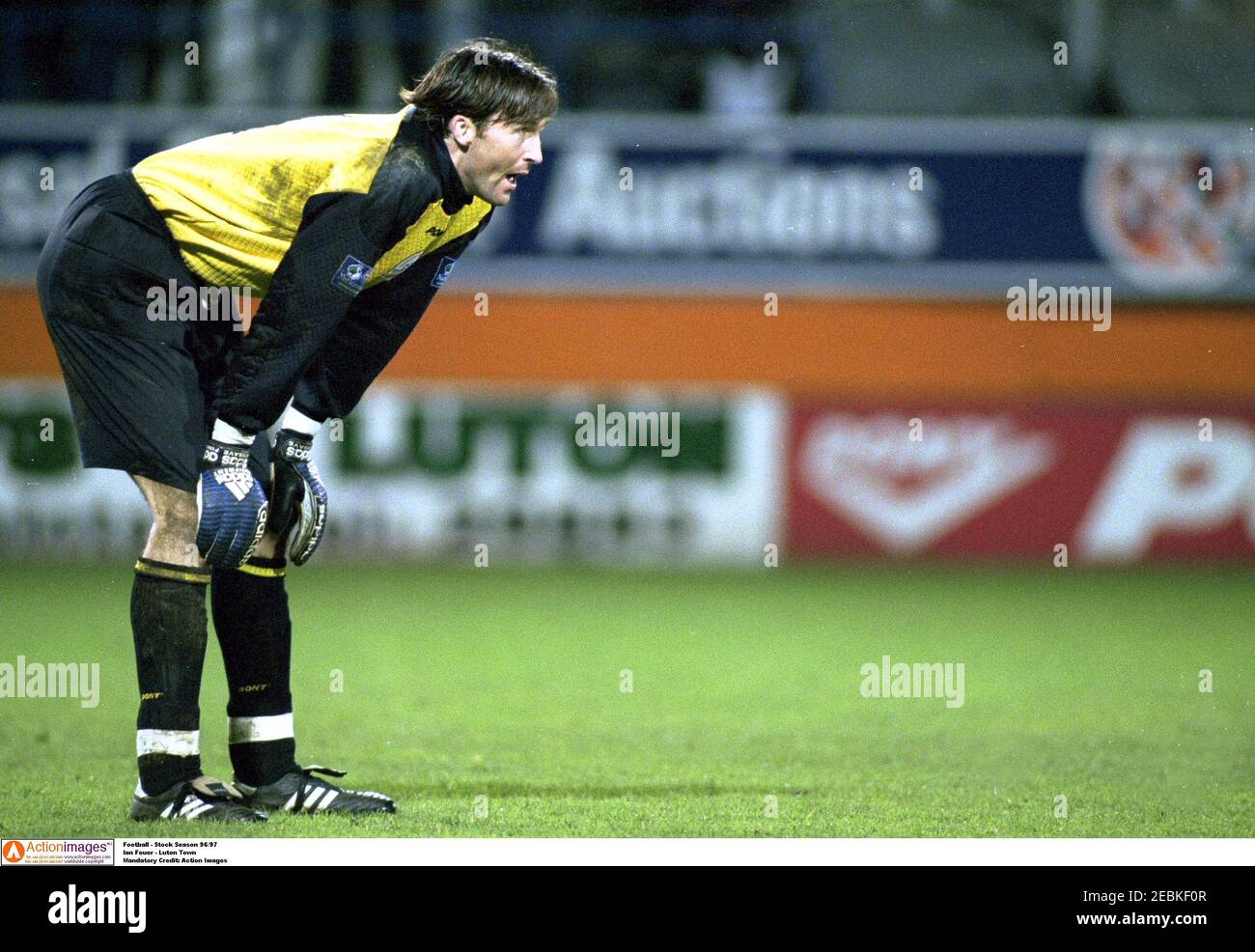 Ian feuer hi-res stock photography and images - Alamy