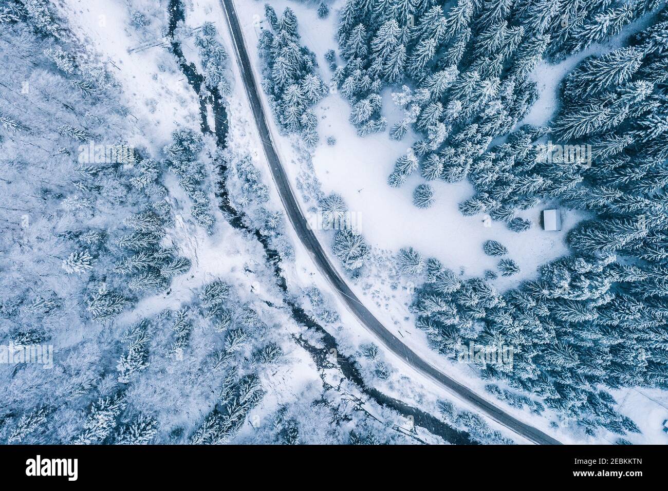 Taiga trees aerial hi-res stock photography and images - Alamy