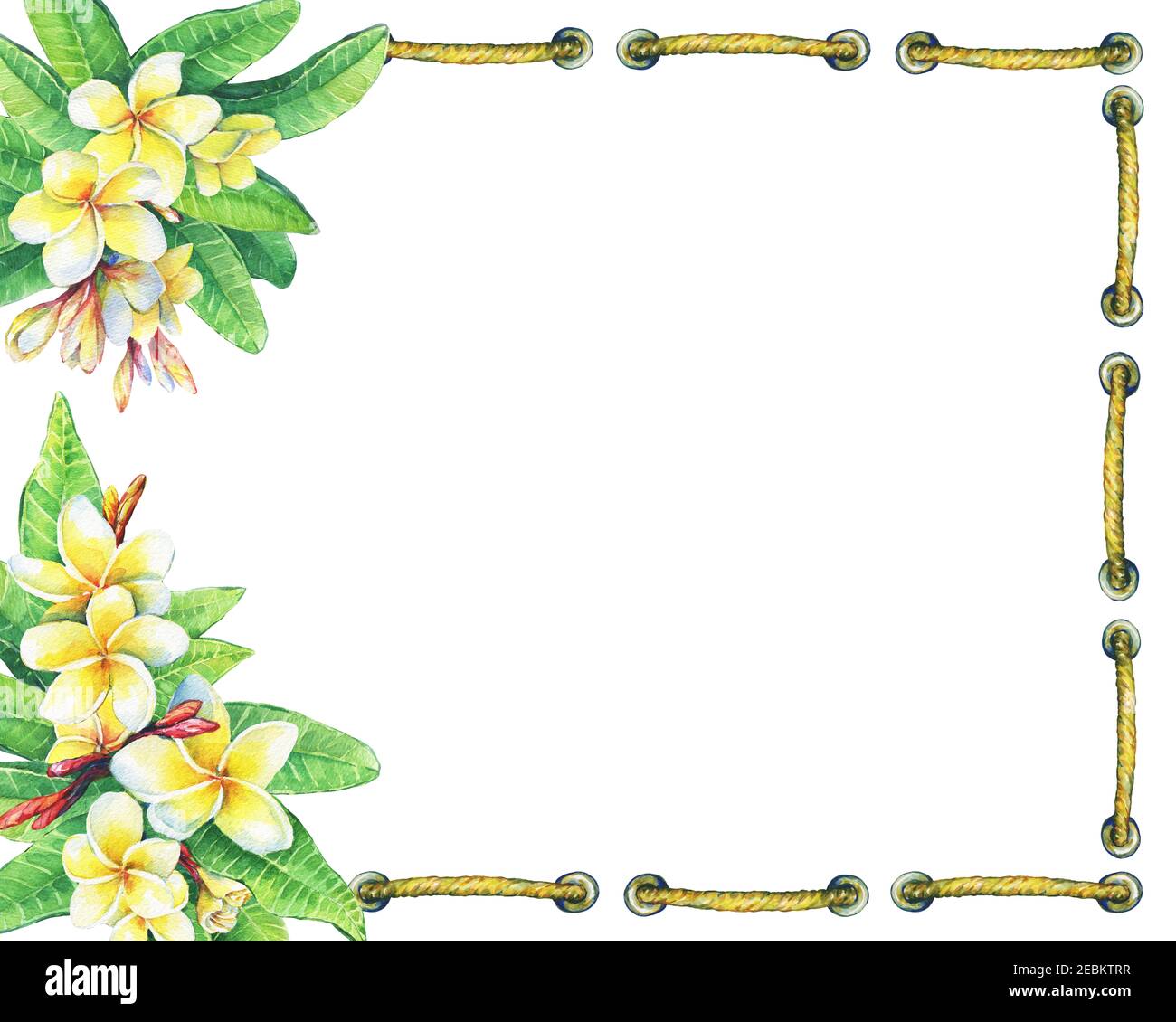 Araliya flowers hi-res stock photography and images - Alamy