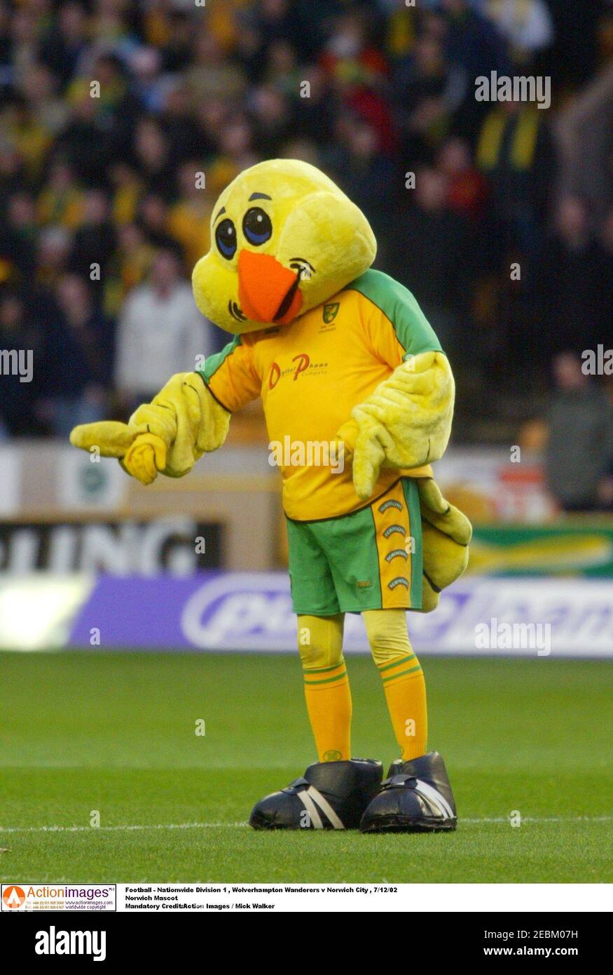 Norwich City Mascot High Resolution Stock Photography and Images - Alamy
