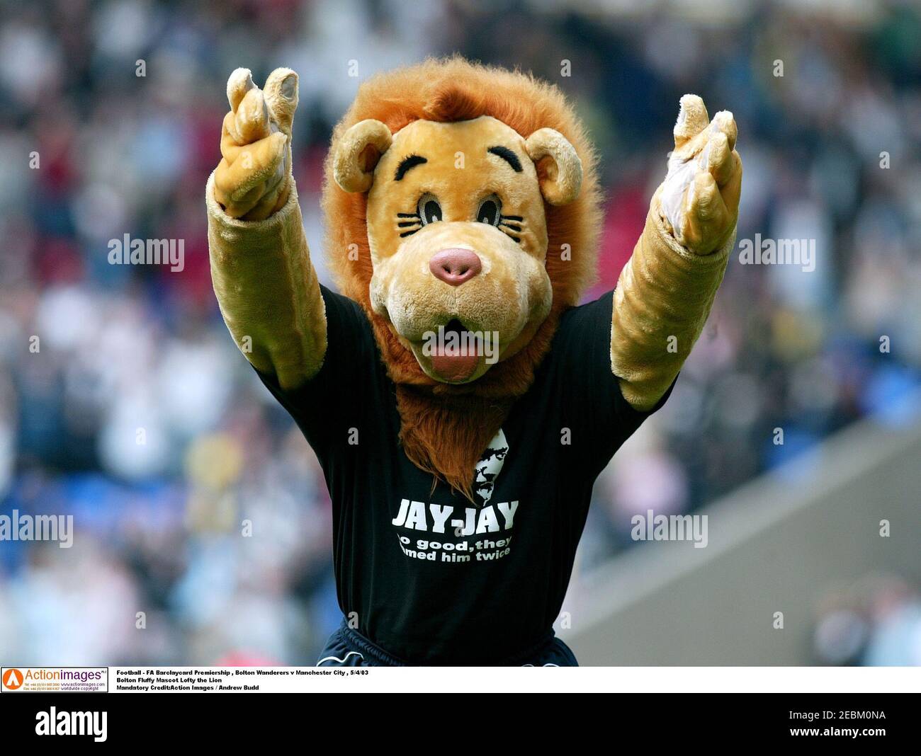 Lofty lion hi-res stock photography and images - Alamy