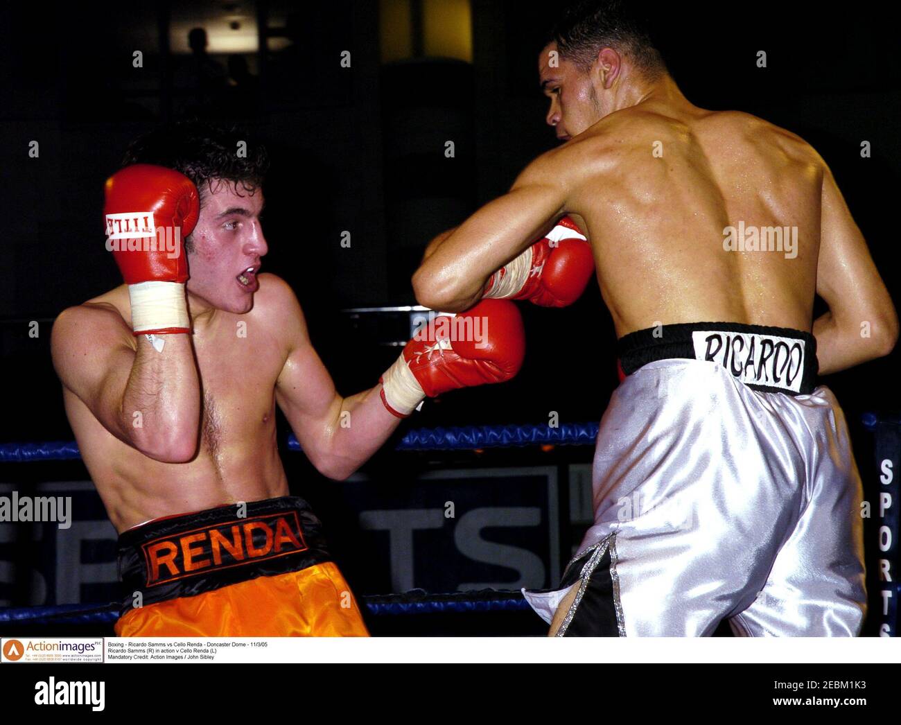 Cello renda hi-res stock photography and images - Alamy