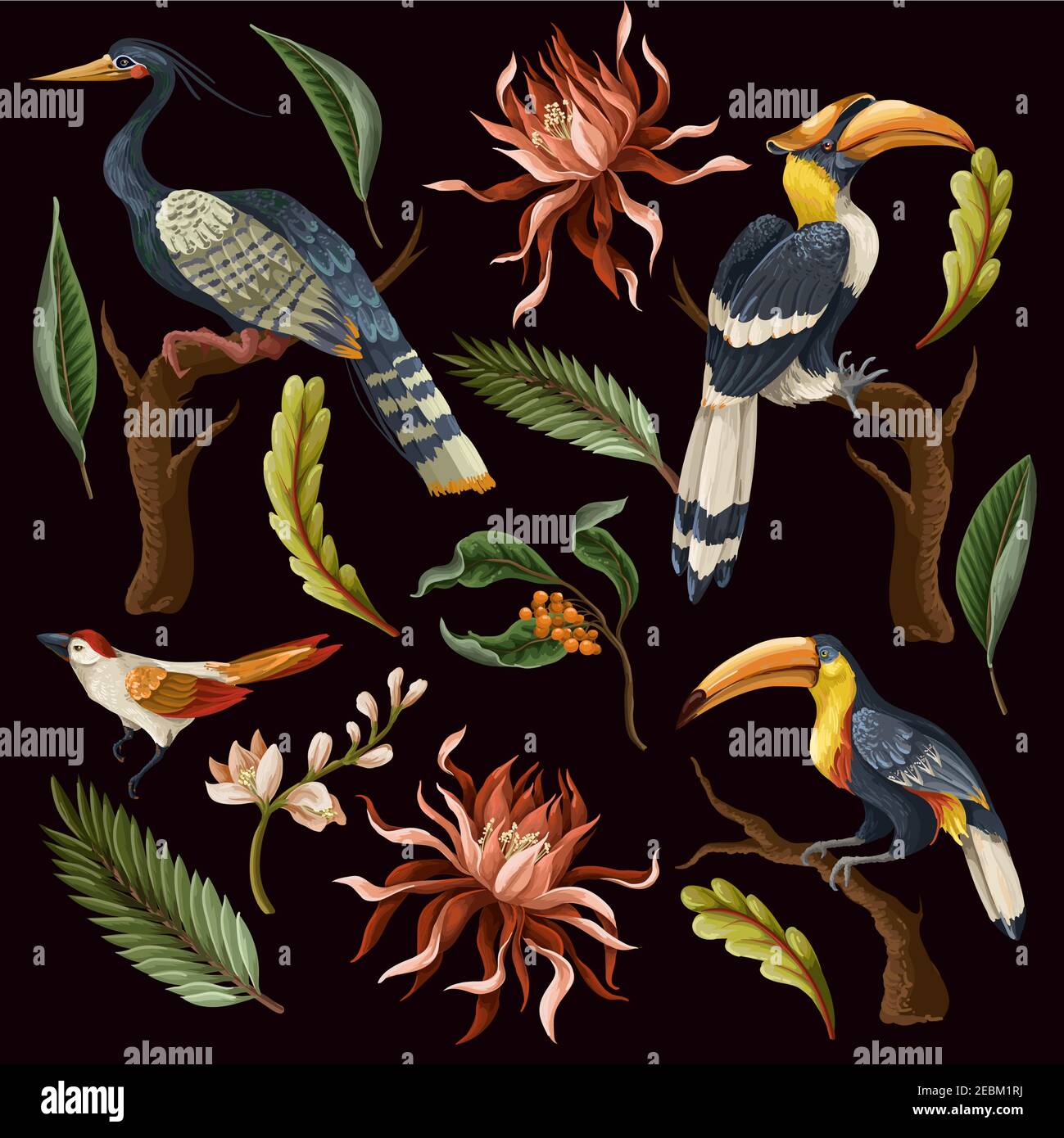 Birds and tropical leaves and flowers isolated. Vector Stock Vector ...