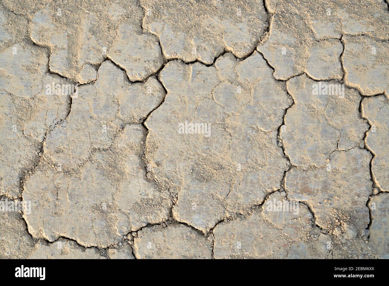 Dry desert land texture with split. Concept of cracked earth in drought ...