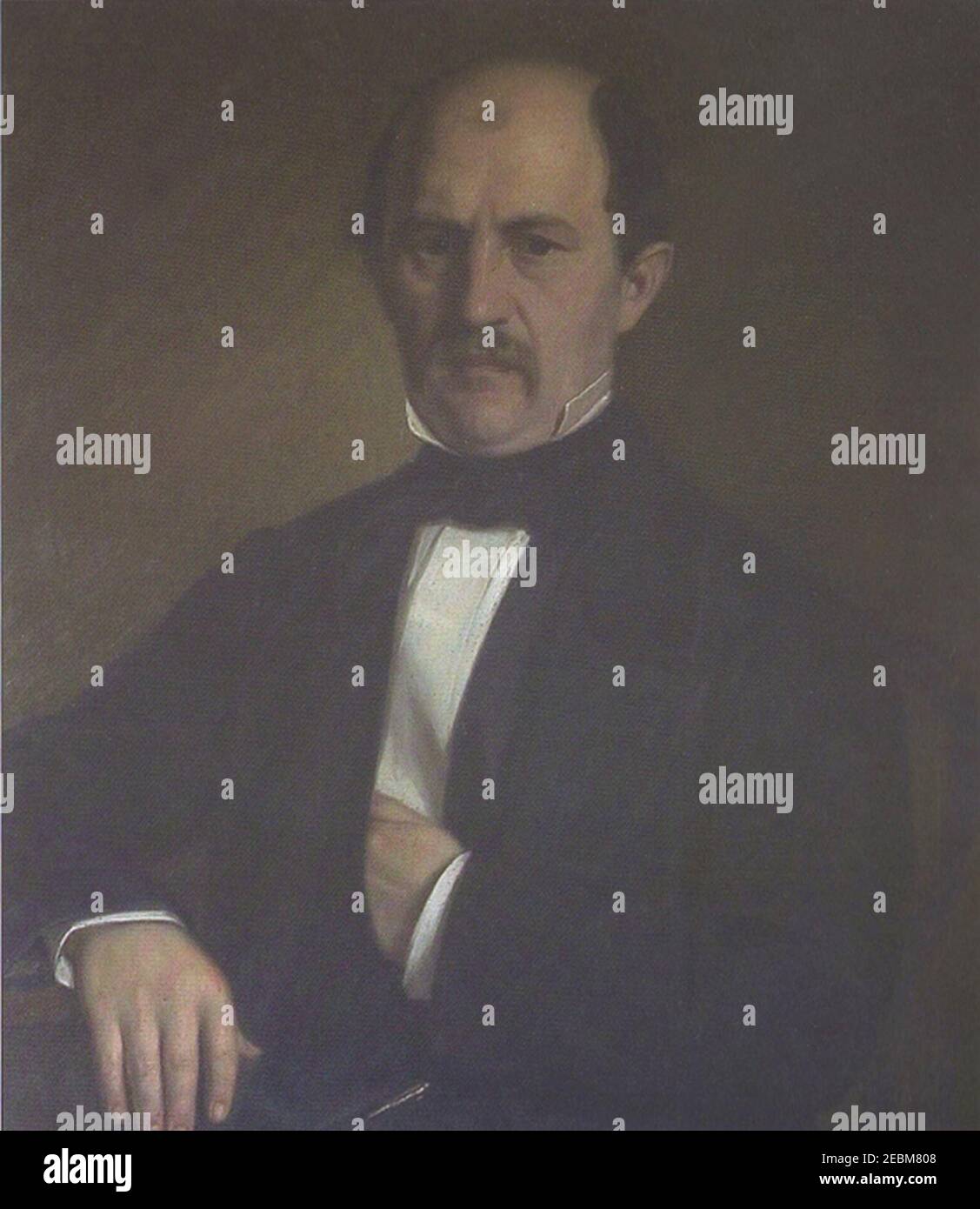 Novak Radonić - Portret dr Danila Medakovića Stock Photo - Alamy