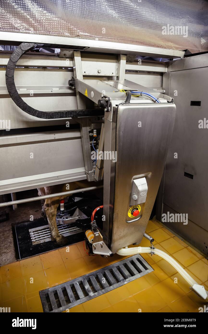 Automatic milking robot arm machine hi-res stock photography and images ...