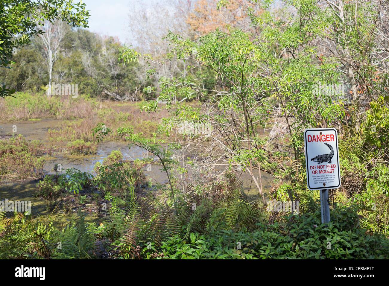 A sign next to a swampy area in Largo, Florida, warning people not to ...