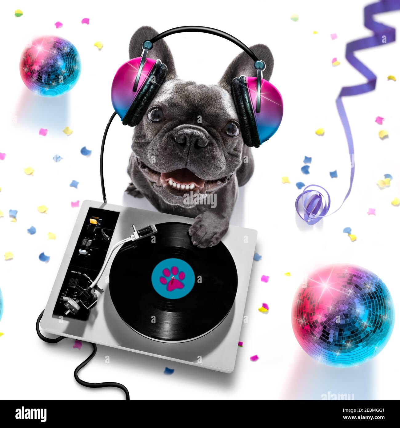 french bulldog dog playing music in a club with disco ball , isolated ...