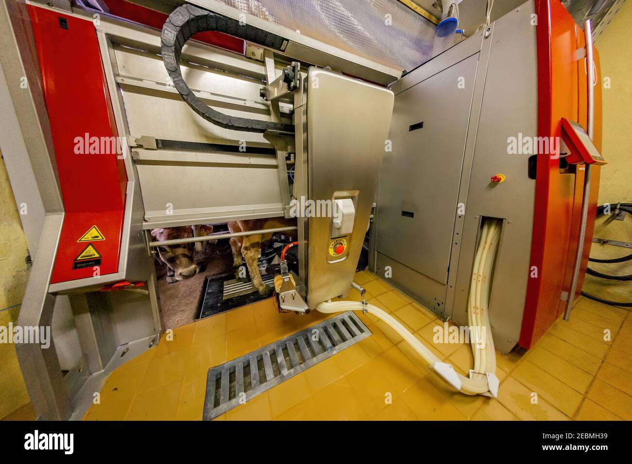 Automatic milking robot arm machine hi-res stock photography and images ...