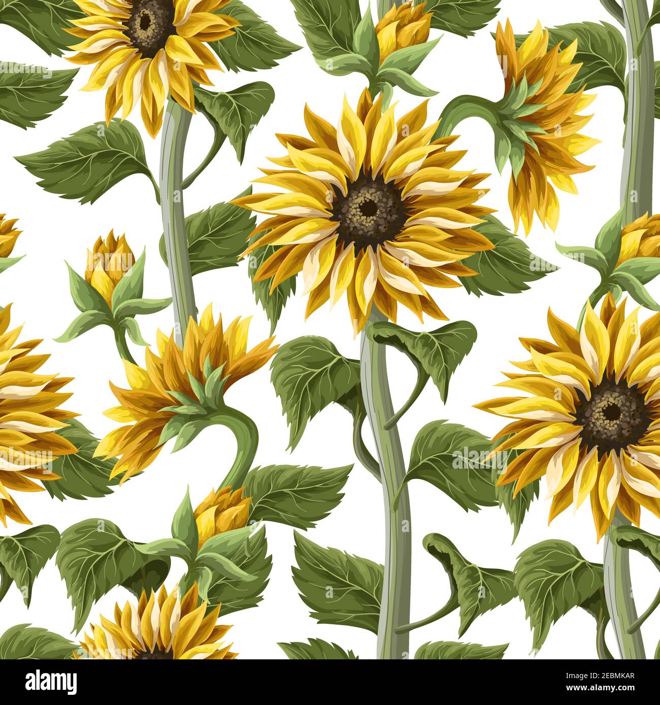 Seamless pattern with sunflowers on a white background Stock Vector ...