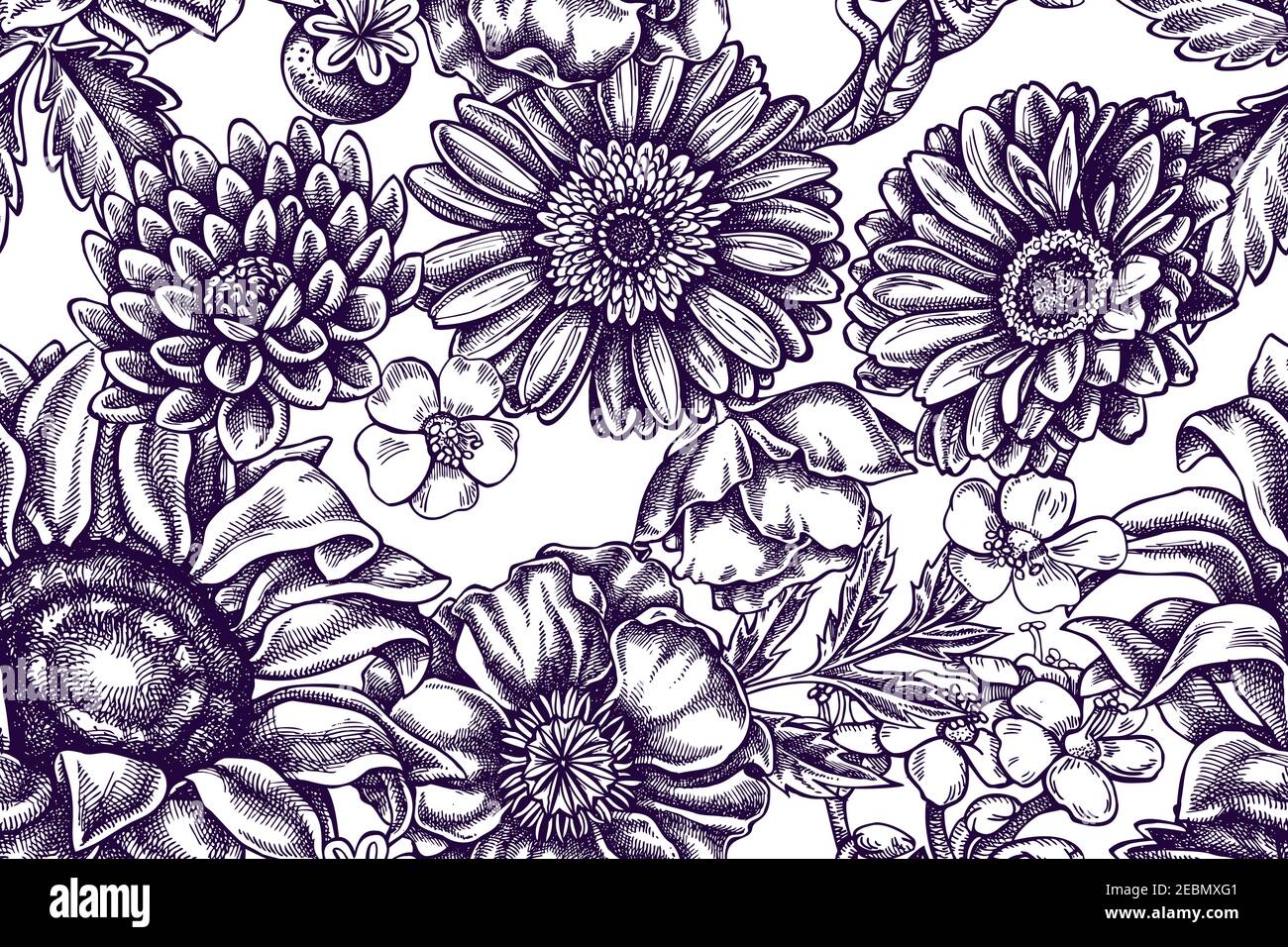 Papaver in wild field Stock Vector Images - Alamy