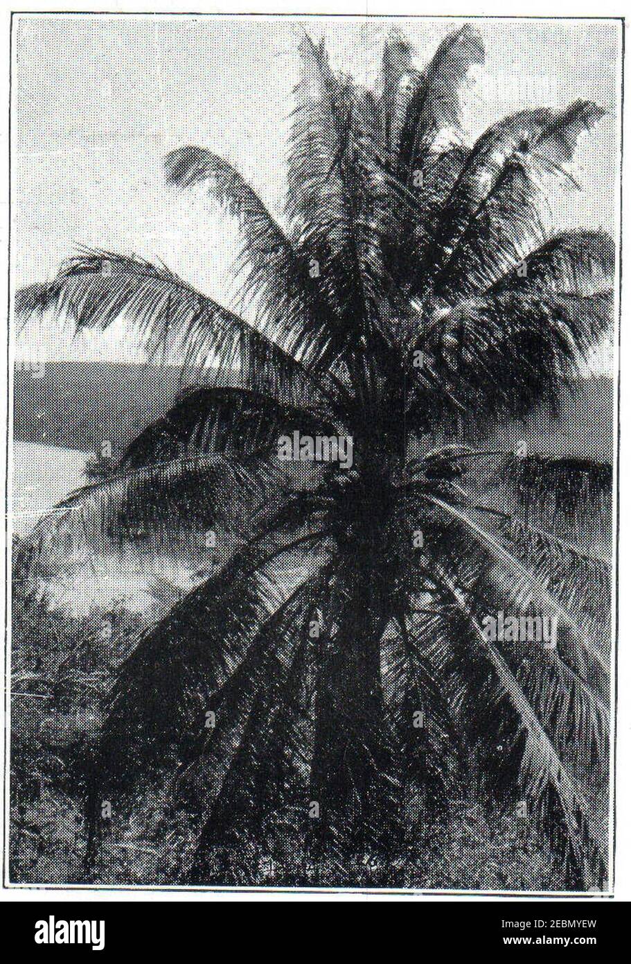 River fort Cut Out Stock Images & Pictures - Alamy