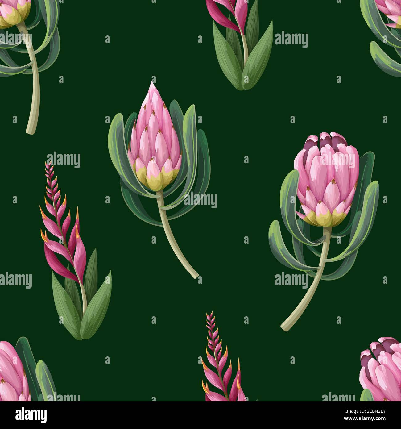 Seamless pattern with proteas flowers. Trendy floral vector print Stock ...
