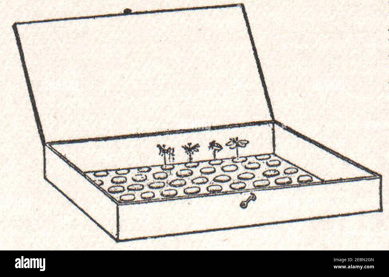 Collectors box hi-res stock photography and images - Alamy