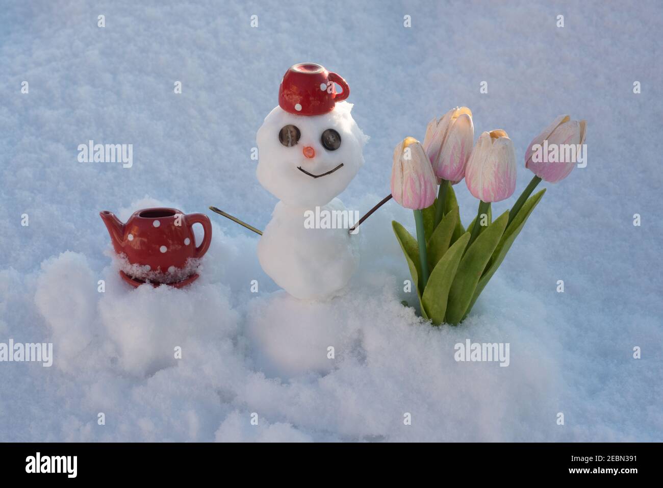 Snowman tulip hi-res stock photography and images - Alamy