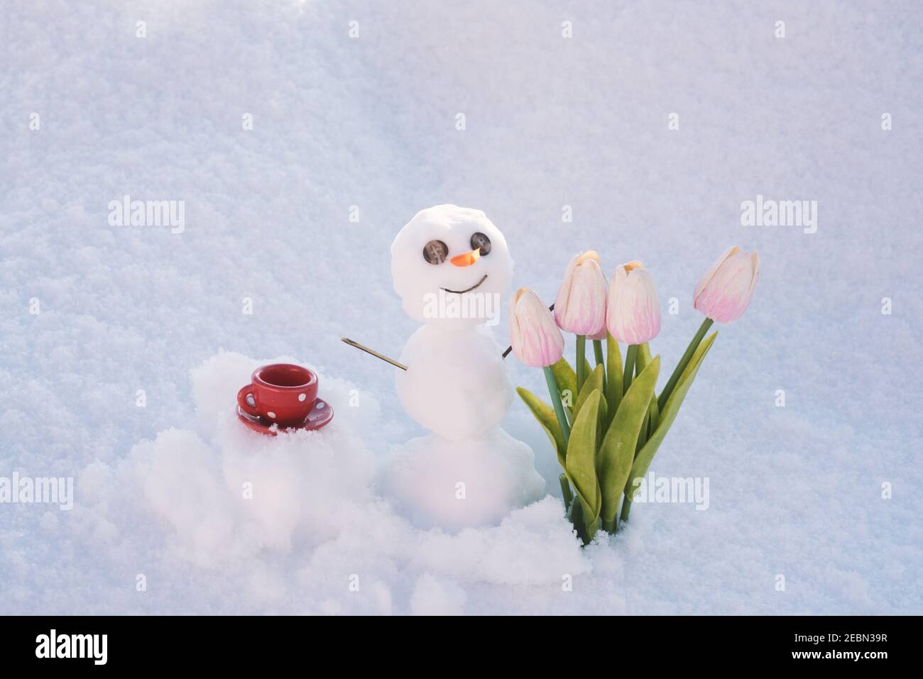 Snowman tulip hi-res stock photography and images - Alamy
