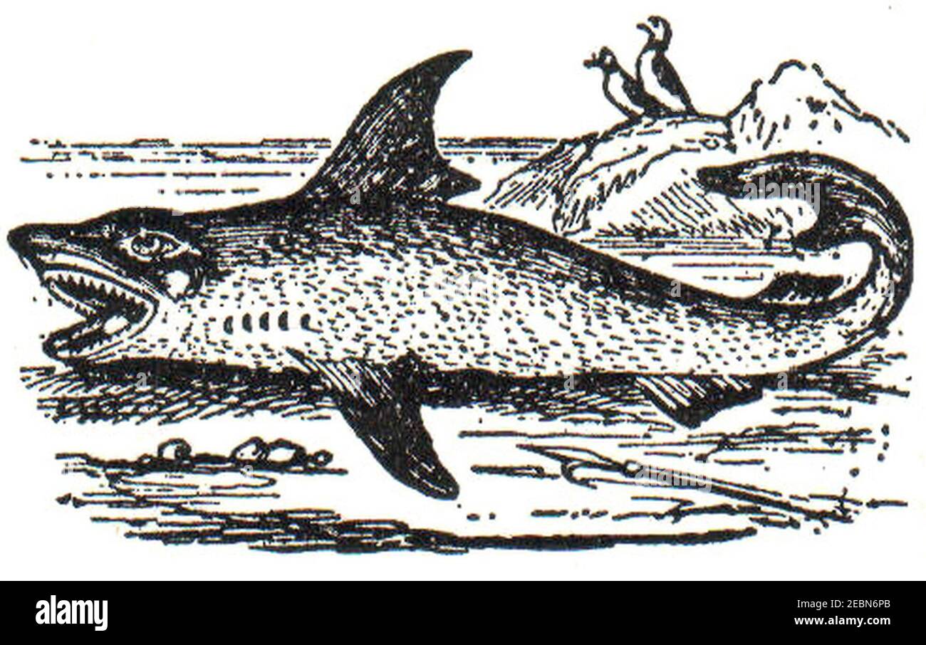 Nsrw hi-res stock photography and images - Alamy