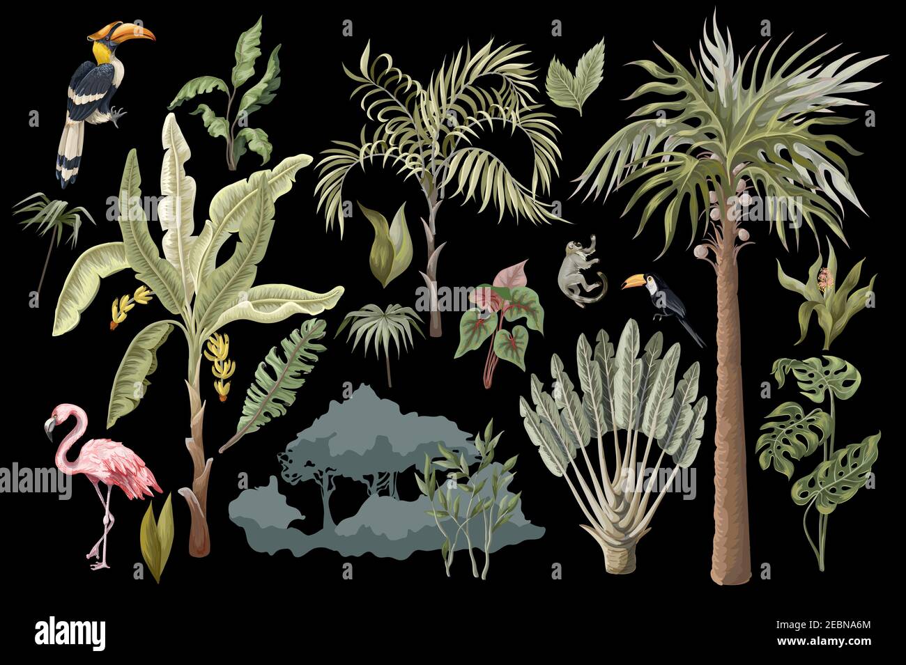 Cartoon animals of the jungle hi-res stock photography and images - Alamy