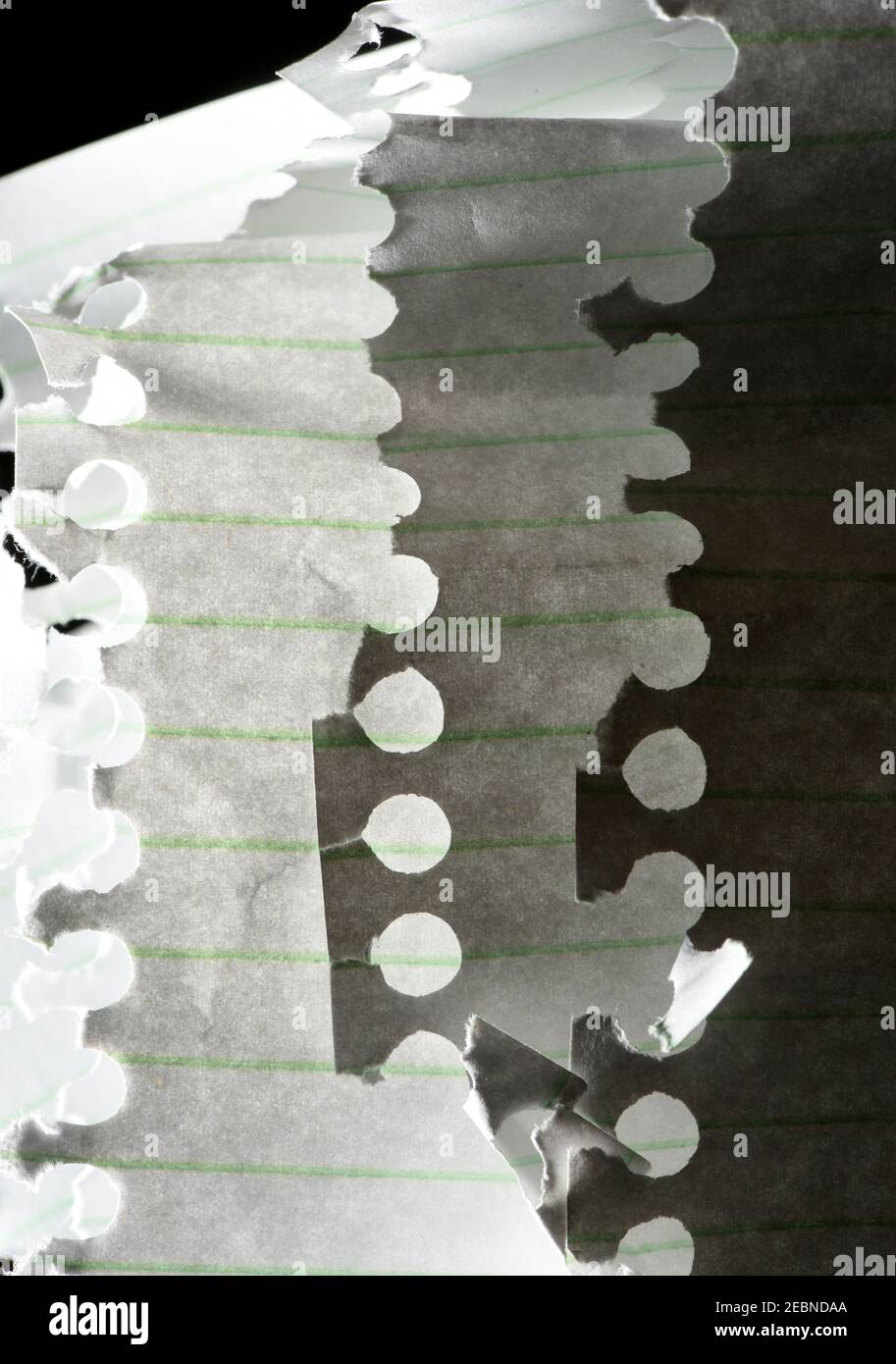 A vertical abstract still life image of folded and torn perforated ...