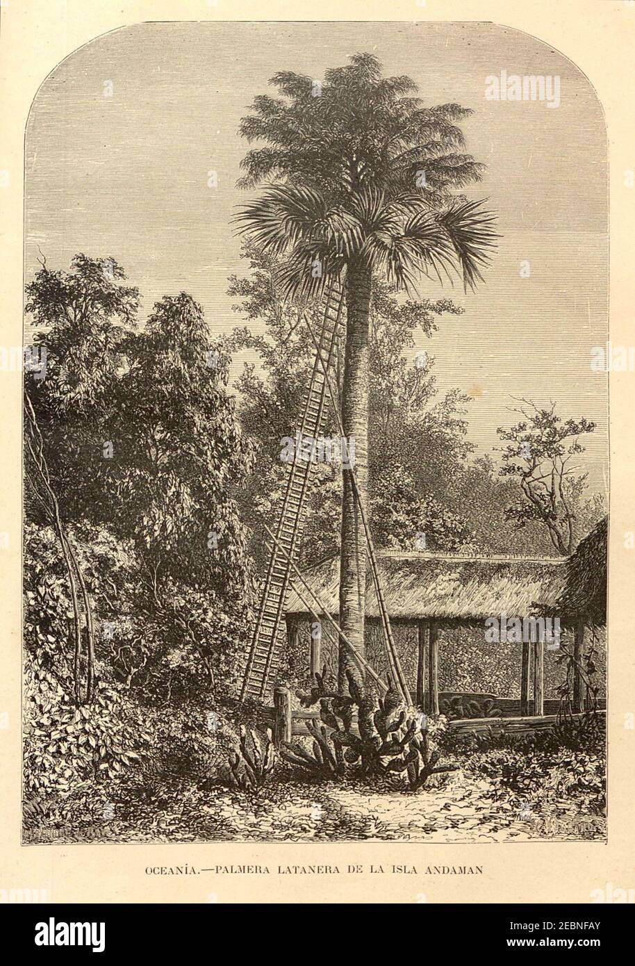 Nueva geografía universal - 1879 065 Stock Photo - Alamy