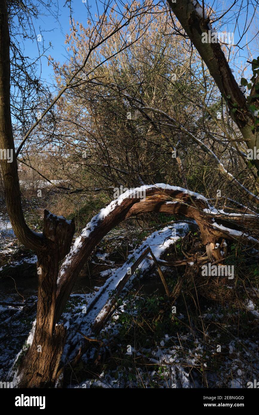 London winter sunny frost hi-res stock photography and images - Alamy