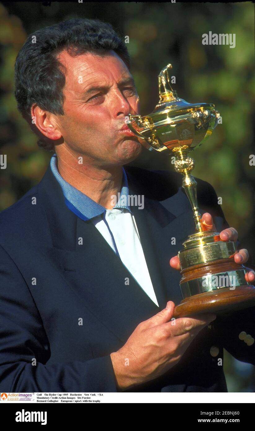 Bernard gallacher ryder hi-res stock photography and images - Alamy