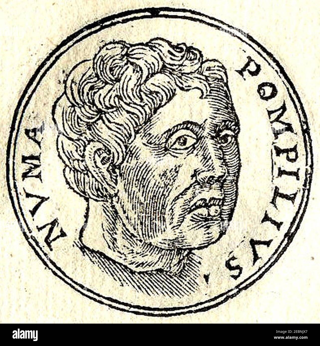 Numa Pompilius High Resolution Stock Photography and Images - Alamy Numa Pompilius High Resolution Stock Photography and Images - Alamy